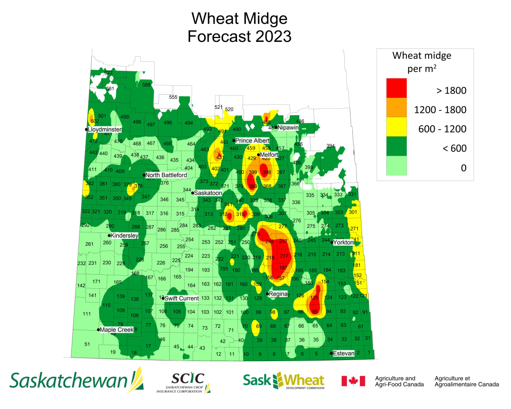 Archives - Herle Seed Farm